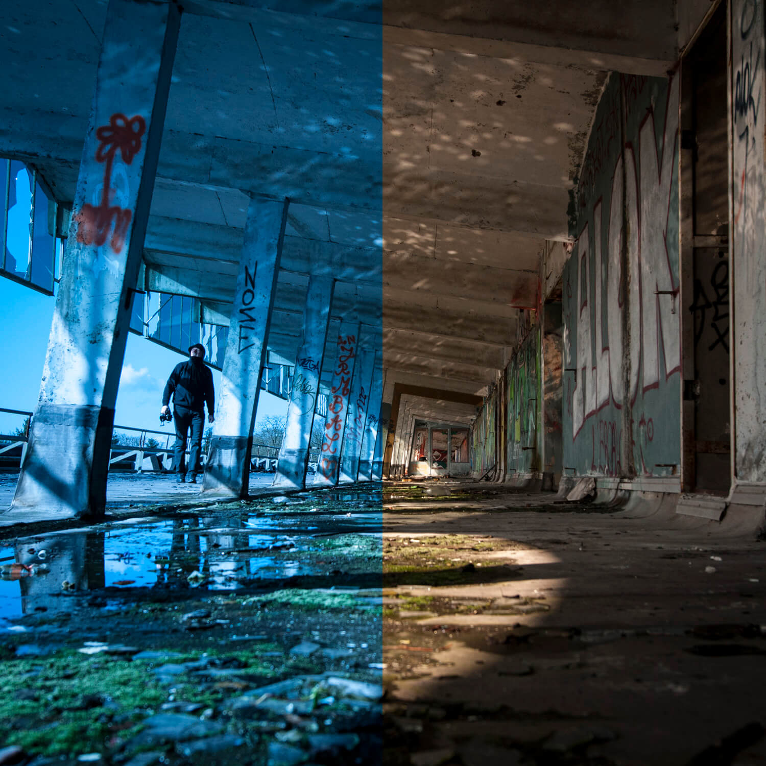 Créez des ambiances uniques grâce à la balance des blancs - Formation Photo